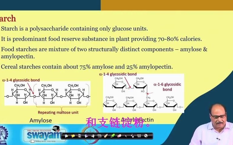 淀粉的糊化与老化