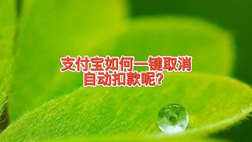 支付宝可以一键取消自动扣款,免密支付关闭的方法,不然花冤枉钱