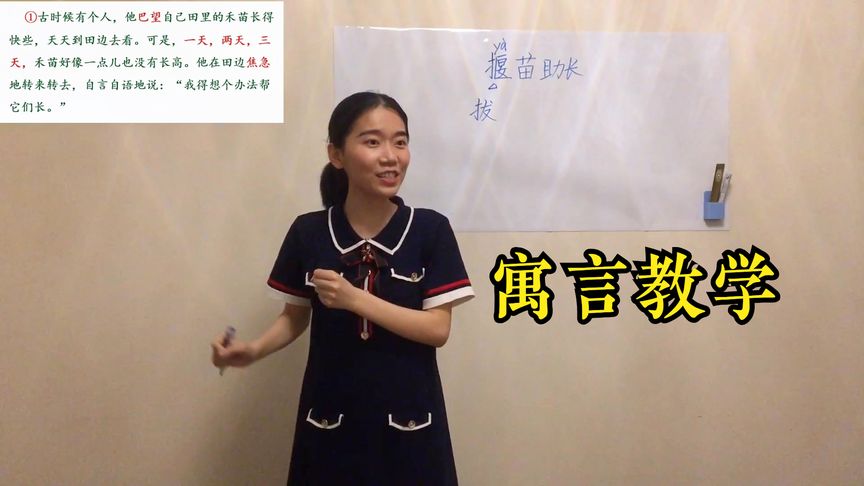 教师面试试讲二年级课文《揠苗助长》:曾被牟原喜老师夸过