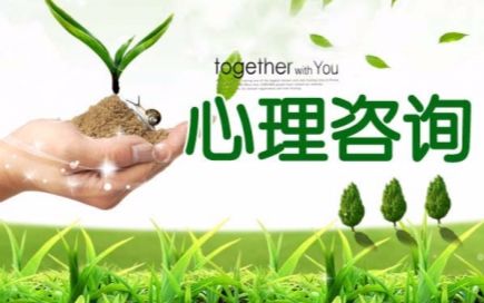 国家职业资格培训教程-心理咨询师01