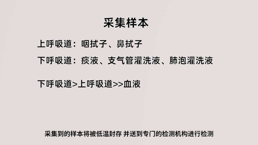 新冠病毒核酸检测(荧光PCR法)原理