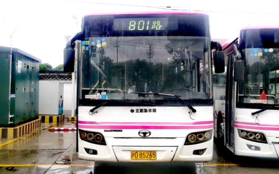 (太阳岛客运)上海801路(原松练专线)公交车松江汽车西站→章练塘路老...