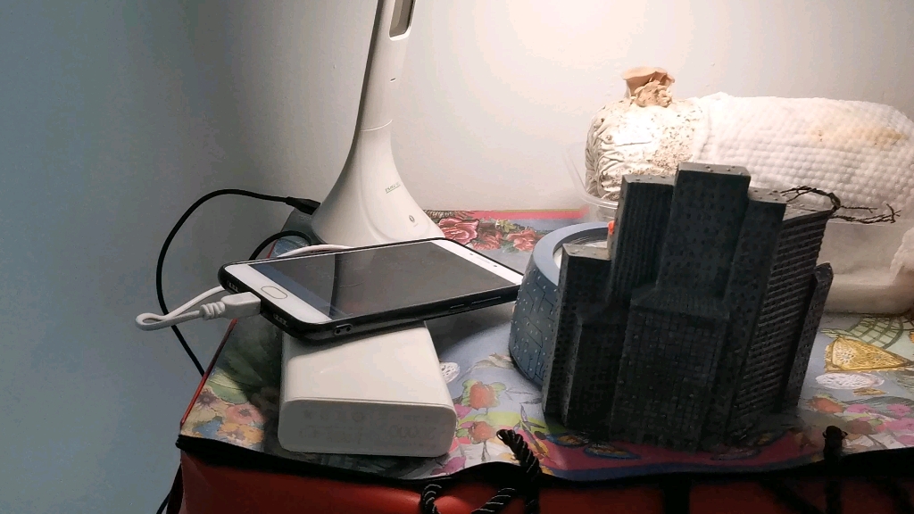 【延时摄影】红平菇的生长过程✓