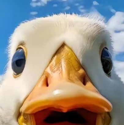 提升办公效率 