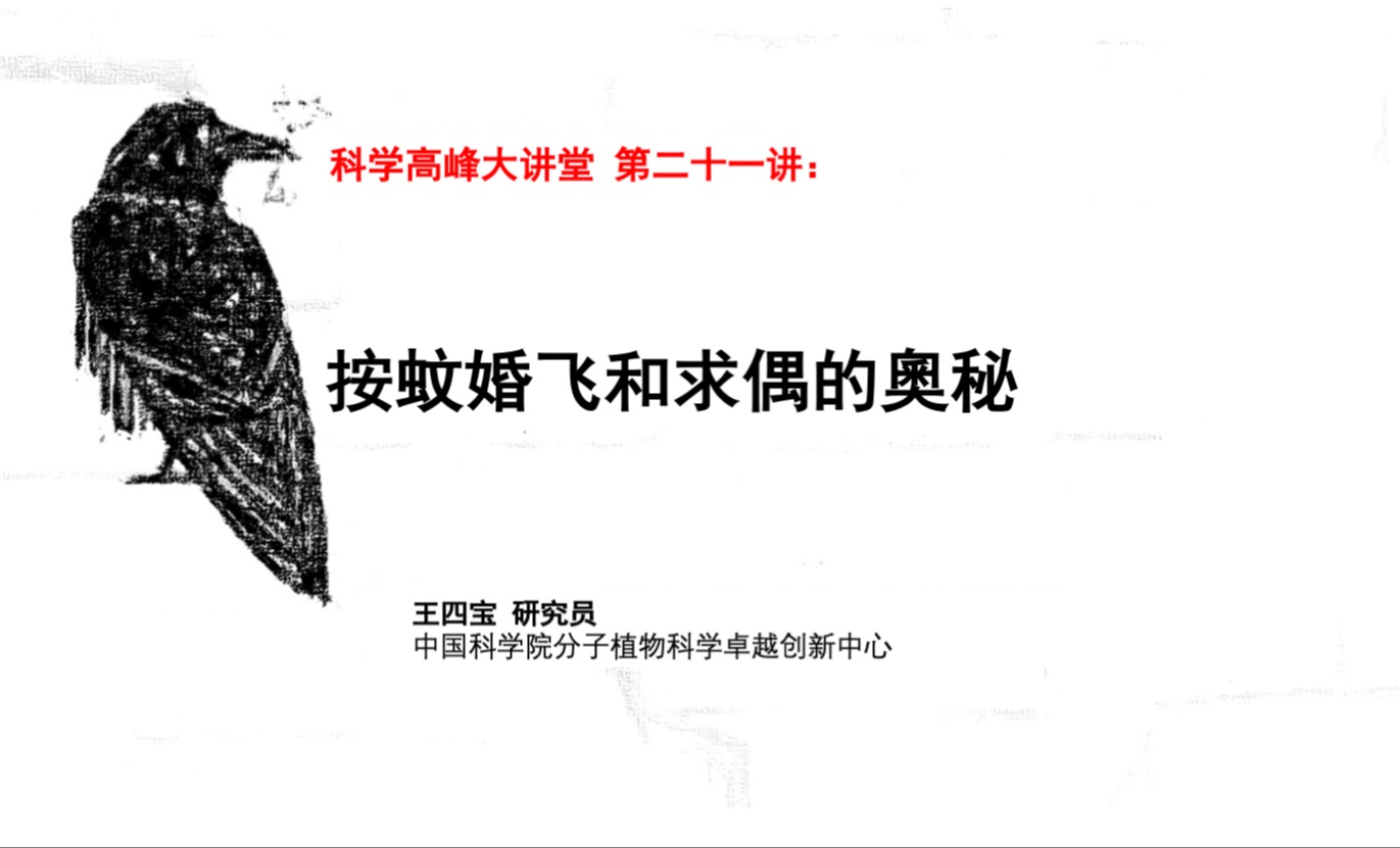 科学高峰大讲堂 第二十一讲:按蚊婚飞和求偶的奧秘
