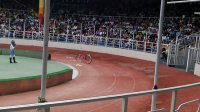 上海野生动物园动物表演