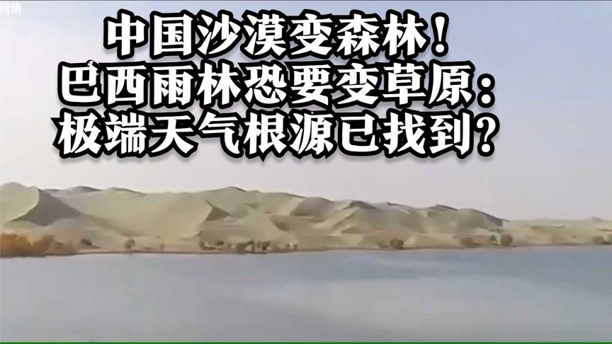 中国沙漠变森林!巴西雨林恐要变草原:极端天气根源已找到?