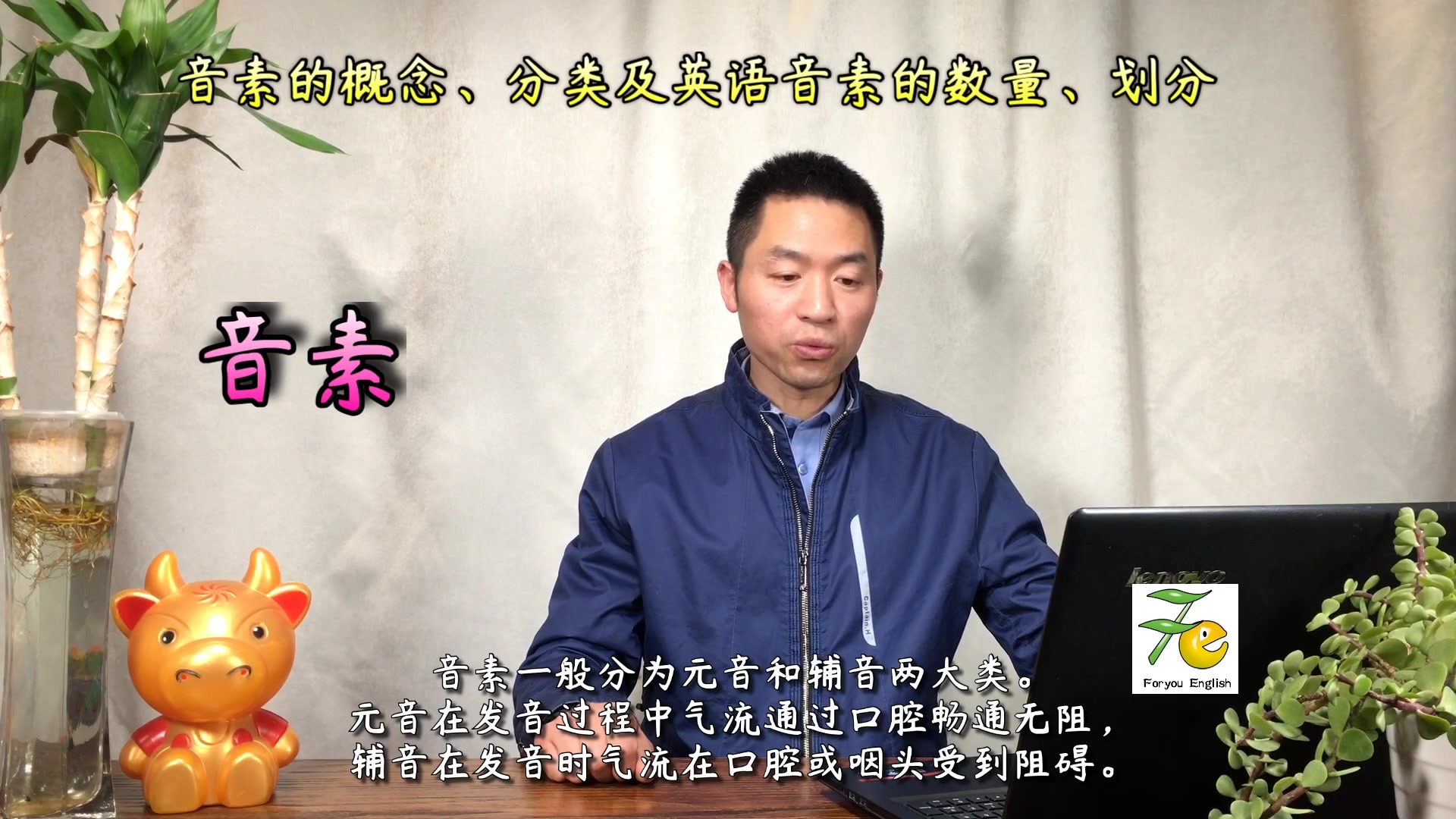 音素的概念、分类及英语音素的数量、划分