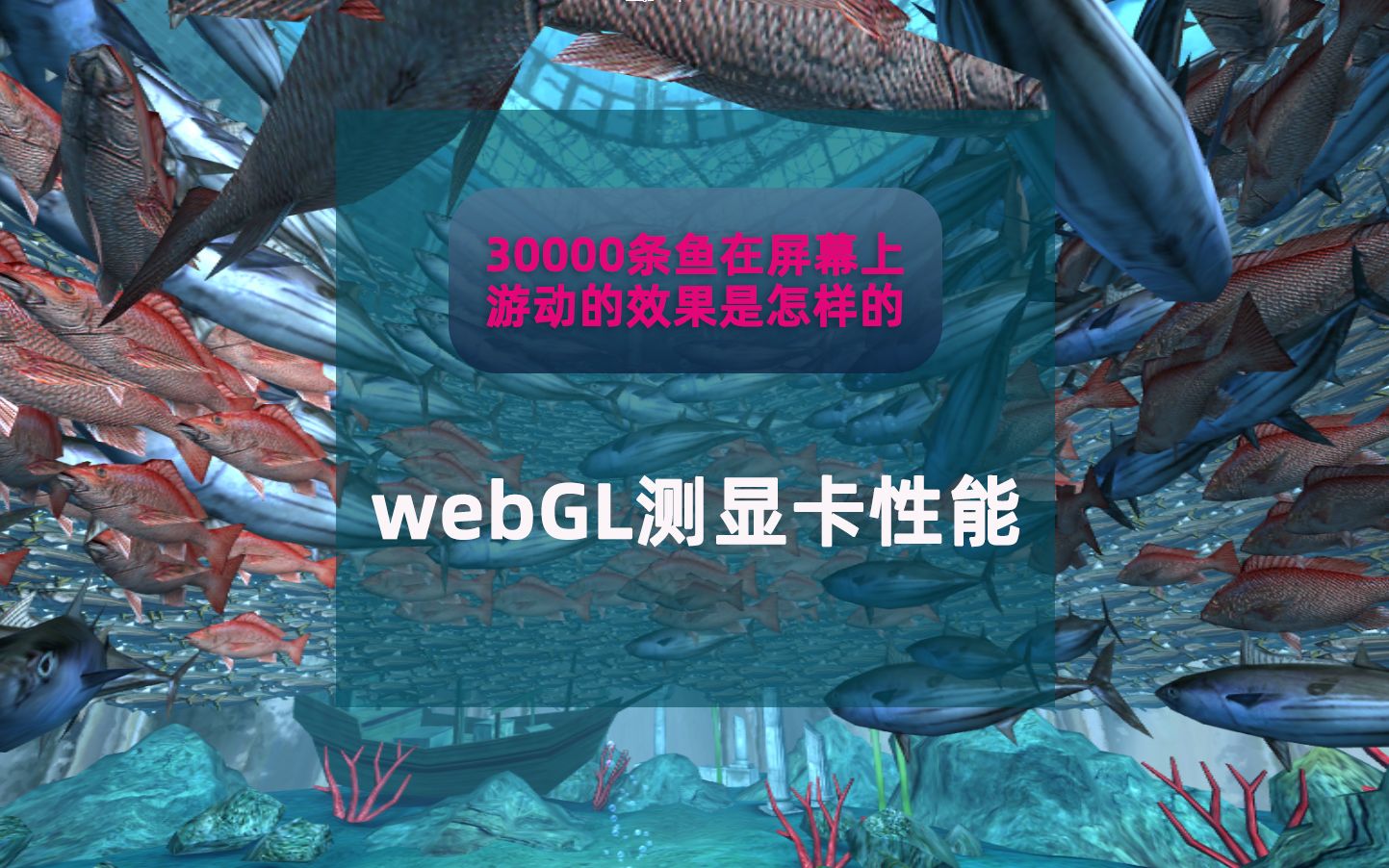 ...测试GPU性能的网站 全屏幕30000条鱼游来游去的效果是怎样的?