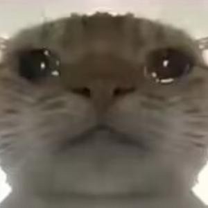 CSGO专逝开箱界黑手