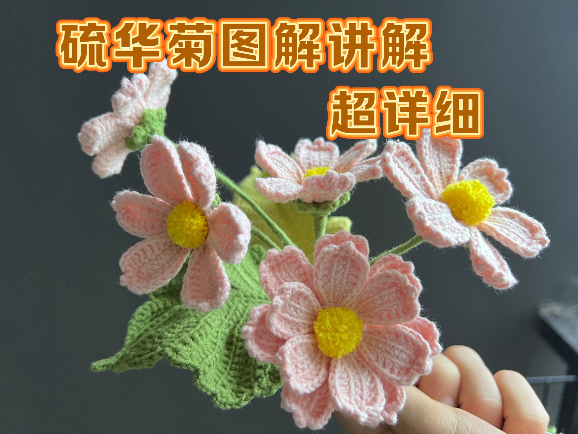 硫华菊毛线钩织图解来啦,简单又好看的小花花不打算钩一把吗?