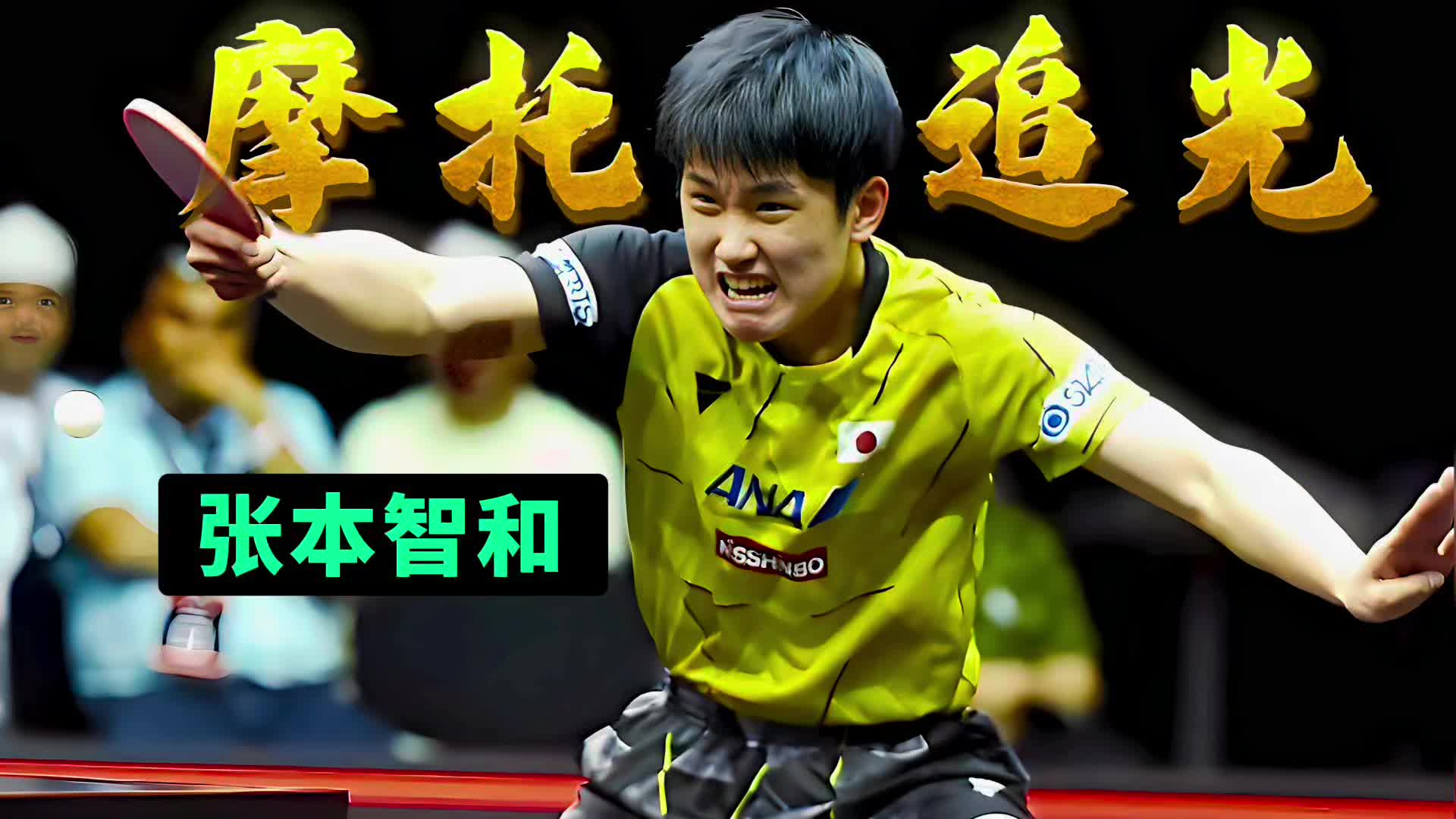 左手宿命!张本智和八败许昕15战王楚钦,摩托追光倔强冲锋~ #张本智...