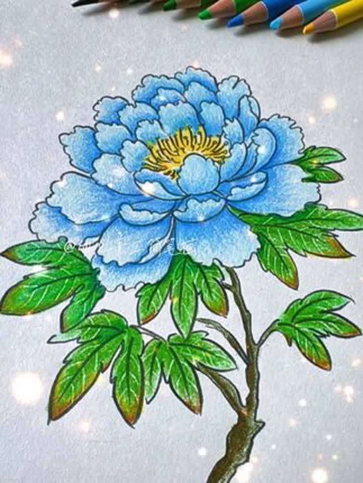 牡丹花详细教程来喽 "唯有牡丹真国色,花开时节动京城"#儿童简笔画...