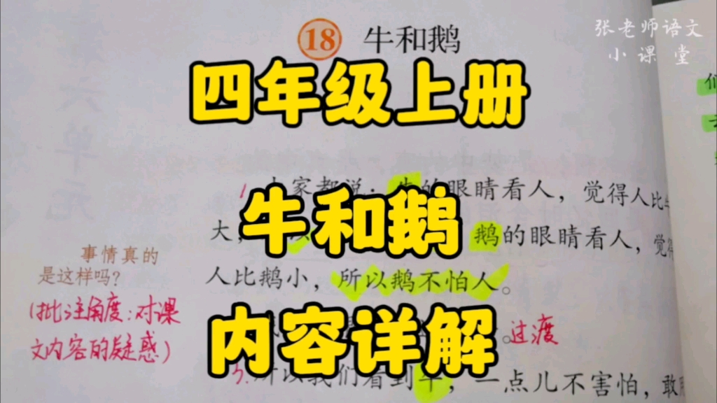 四年级上册:《牛和鹅》内容详解,文章是怎样作批注的?可以从哪些角度...