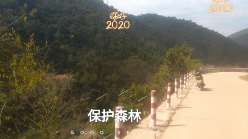 保护森林,就是保护家园。
