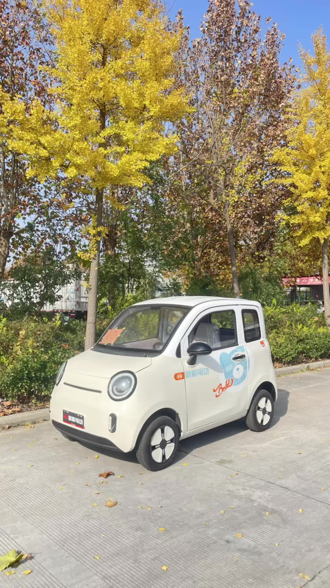 是两门也是四门新能A8电动车#低速电动汽车 #不用驾照的电动车 #...