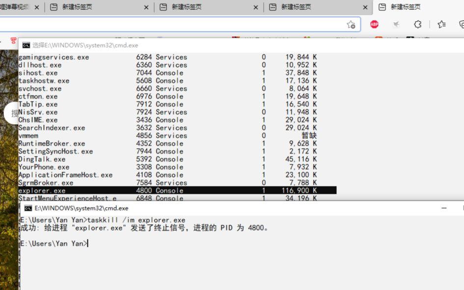 《taskkill /im explorer.exe》=浏览器关闭选项卡