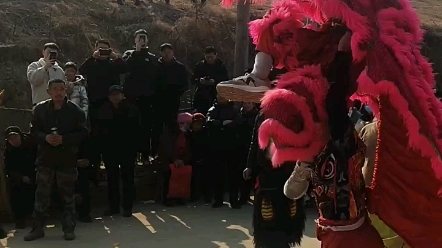民间活动舞狮表演