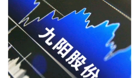 九阳股份集团股份有限公司2021年财务分析详细报告,财务报表分析