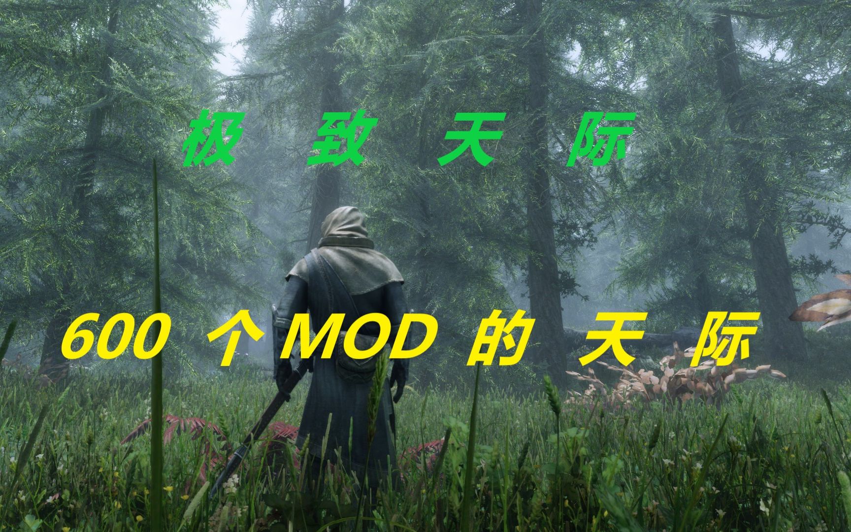 《上古卷轴5天际》当安装了600个MOD的天际会变成什么样?这画质这...