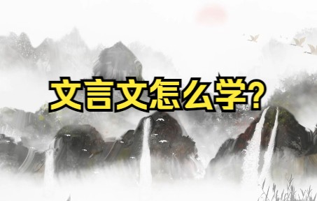 刷了很多题,却学不好文言文?文言文怎么学?
