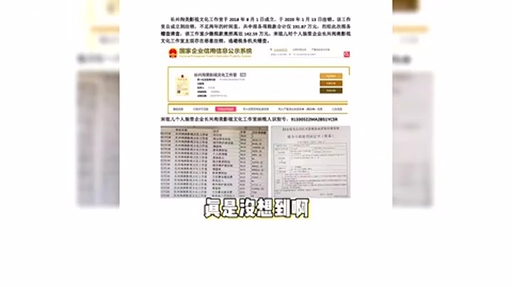 曝宋祖儿偷税漏税实锤,补缴税款超270万元,此前有三次税务问题