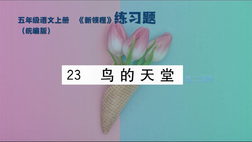 鸟的天堂,第二课时练习