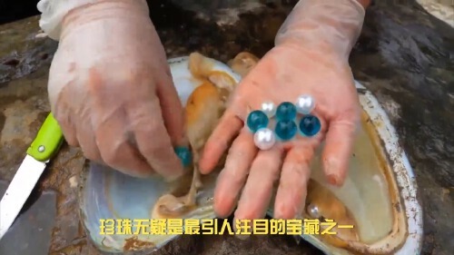 珍珠是怎么形成的?都是从蚌里产生的吗?答案和想象的不太一样
