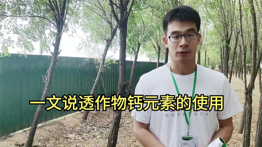 一文说透钙元素的作用,作物如何科学补钙,离子钙和螯合钙的使用