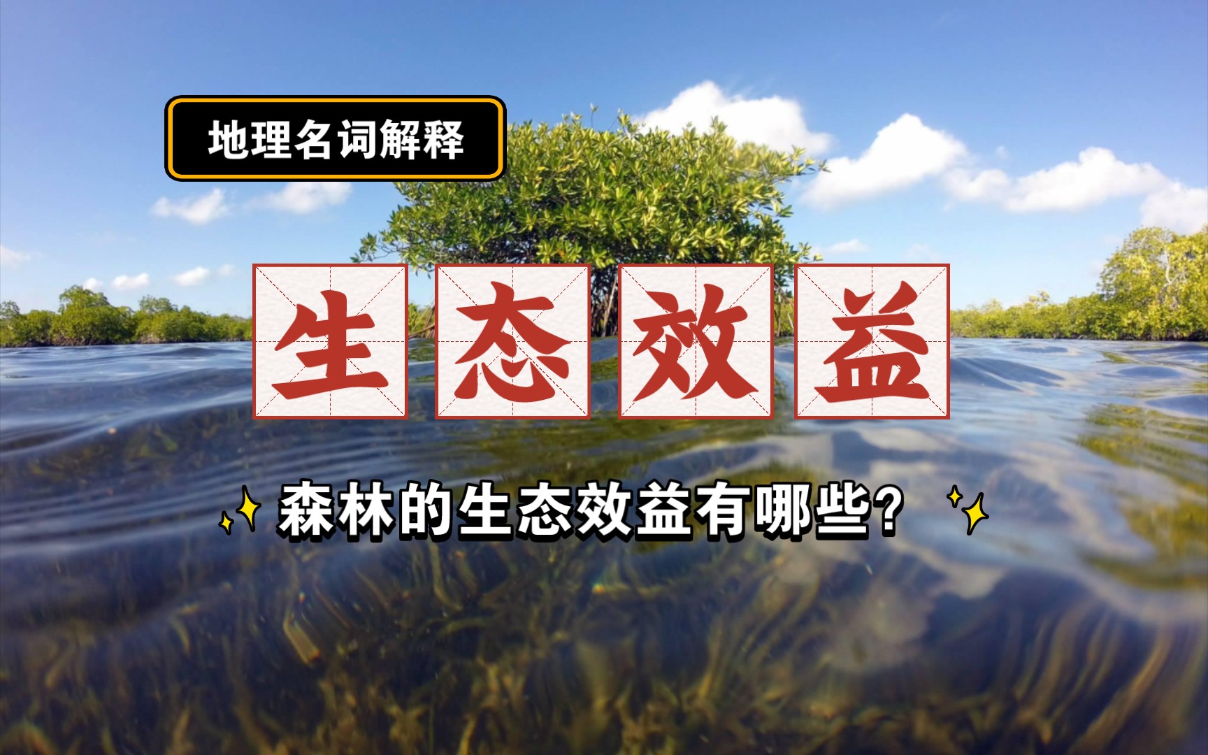 一句话记住生态效益(以森林为例)【爆爆|地理名词解释】森林的生态效益