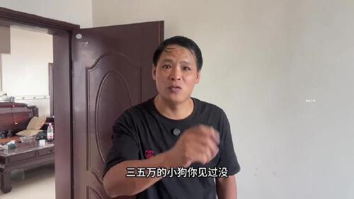 小伙以3张一只的价格卖掉三只小狗,这价格贵么
