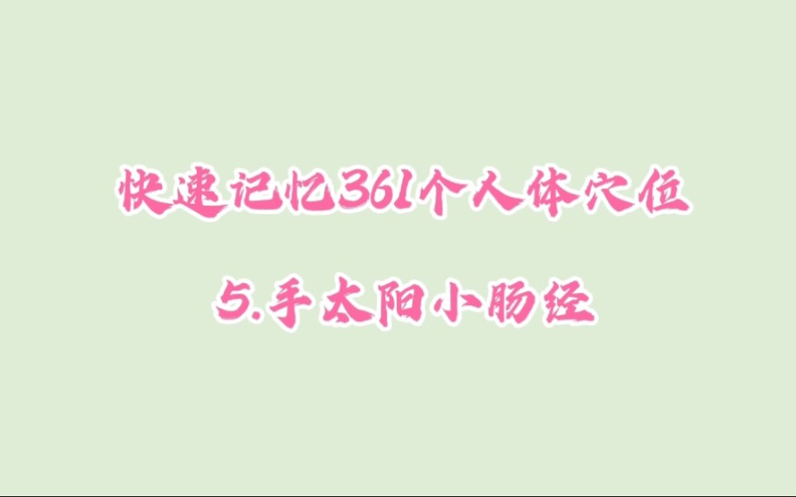 快速记忆~05.手太阳小肠经,半天背完361个穴位