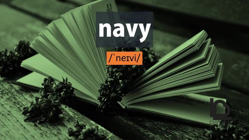 重磅推荐牛津词汇之字母N