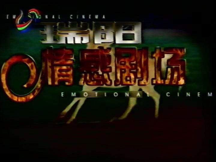 【广播电视|录像带】山东卫视《情感剧场》片头+中央电视台(CCTV 2)...