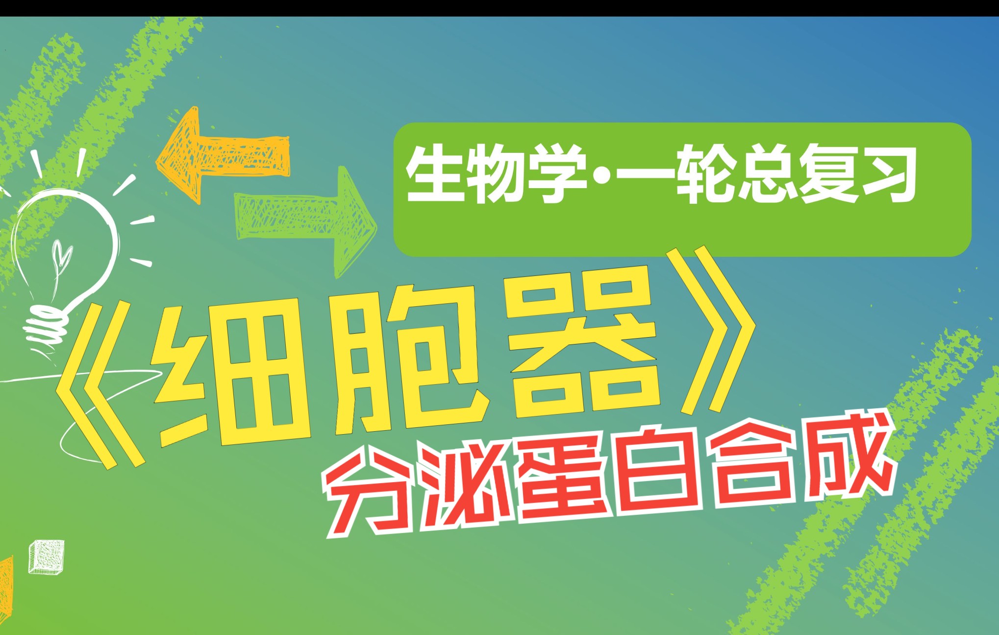 【生物一轮复习】2.3-1细胞器之间的合作分泌蛋白 高中新高考全国...