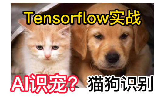 【猫狗识别项目】 使用TensorFlow + CNN 实现猫狗二分类(深度学习/...