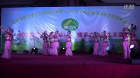 松溪县纪念第19届母亲节暨“5.29”计生协会会员活动日文艺晚会1...