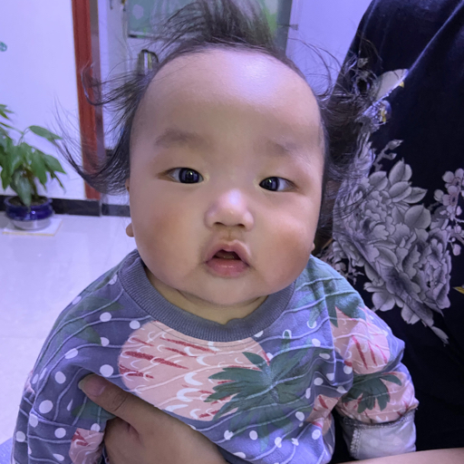 张可爱的快乐生活 