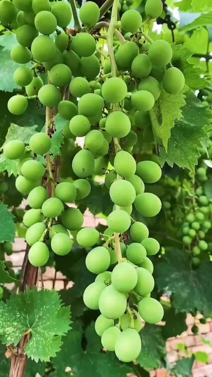 生活就像咖啡我们总在期望遇到为你加糖的人