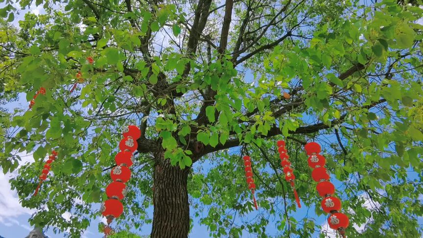 农历四月初四顶礼文殊菩萨生日ߙ