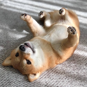 是JJ嚯 
