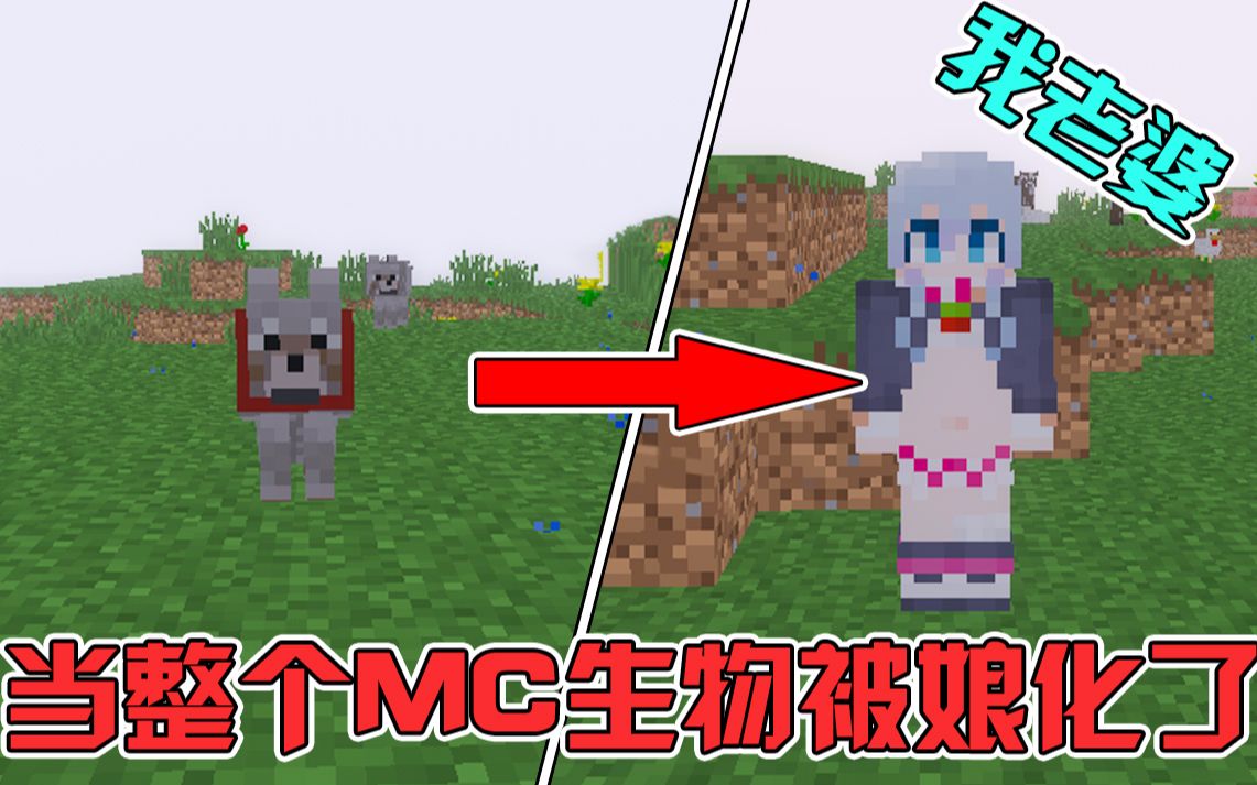 Minecraft 当MC的生物全部娘化(变老婆)了!