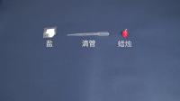 盐水怎么分离呢?一起来试验下吧。