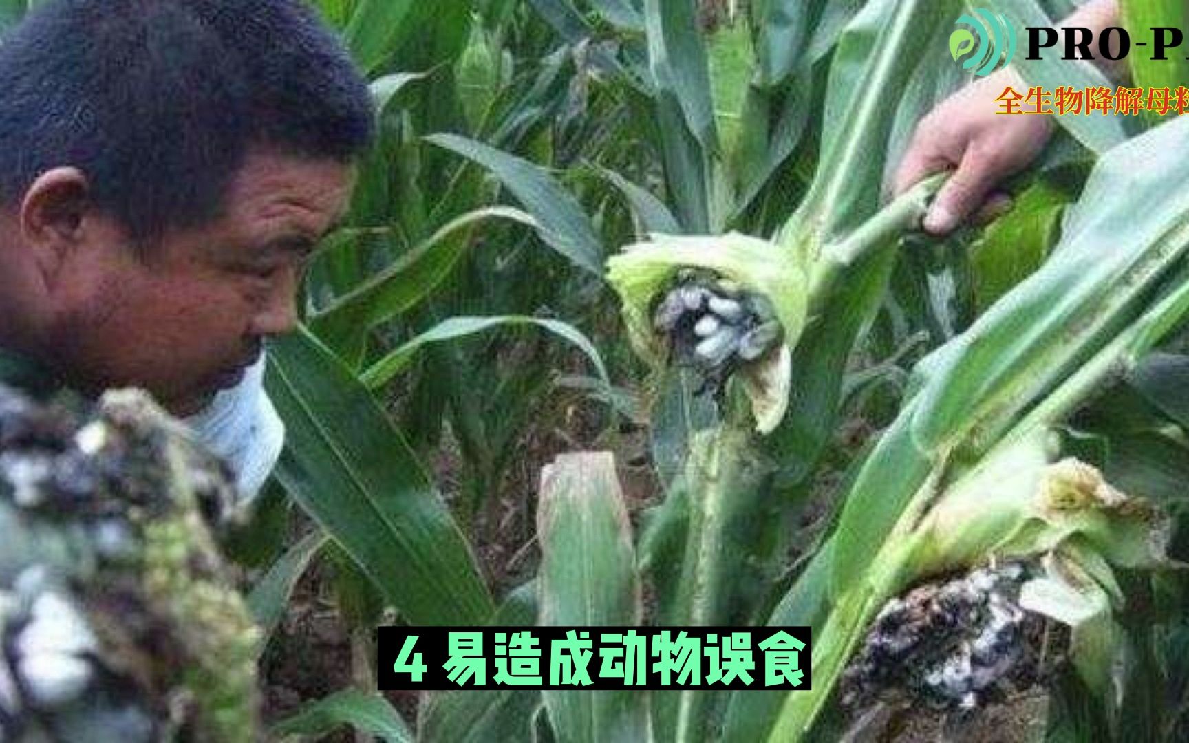 塑料袋对环境的危害(改变你对塑料的认知)