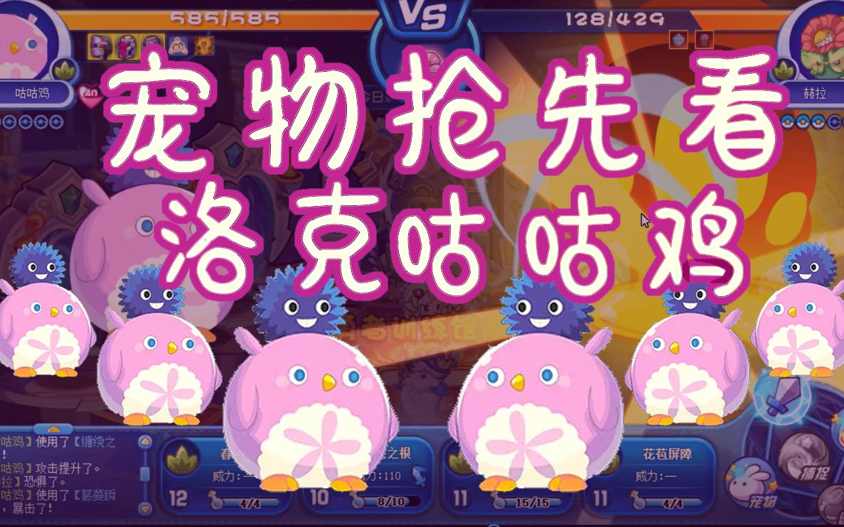 【宠物抢先看】洛克王国咕咕鸡 咕咕咕咕咕!(STAY-bgm)