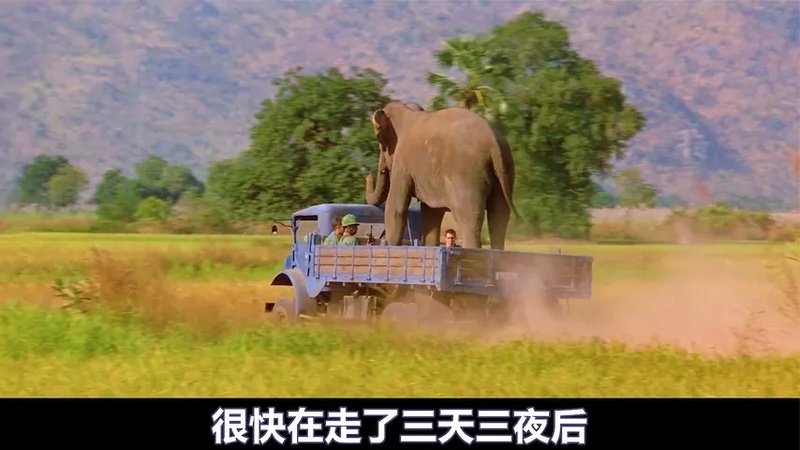几人到底能不能成功任务?,小飞象3