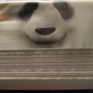 lzh五级 