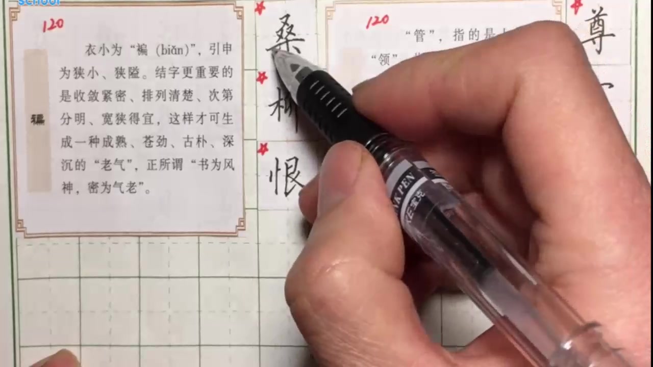 褊、相管领硬笔书法视频教程,详细讲解基本笔画的结构与写法