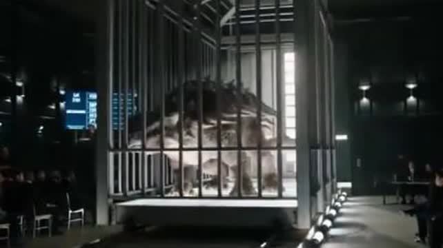 侏罗纪世界:小伙被关,吹哨引恐龙撞破墙逃跑,它竟来了