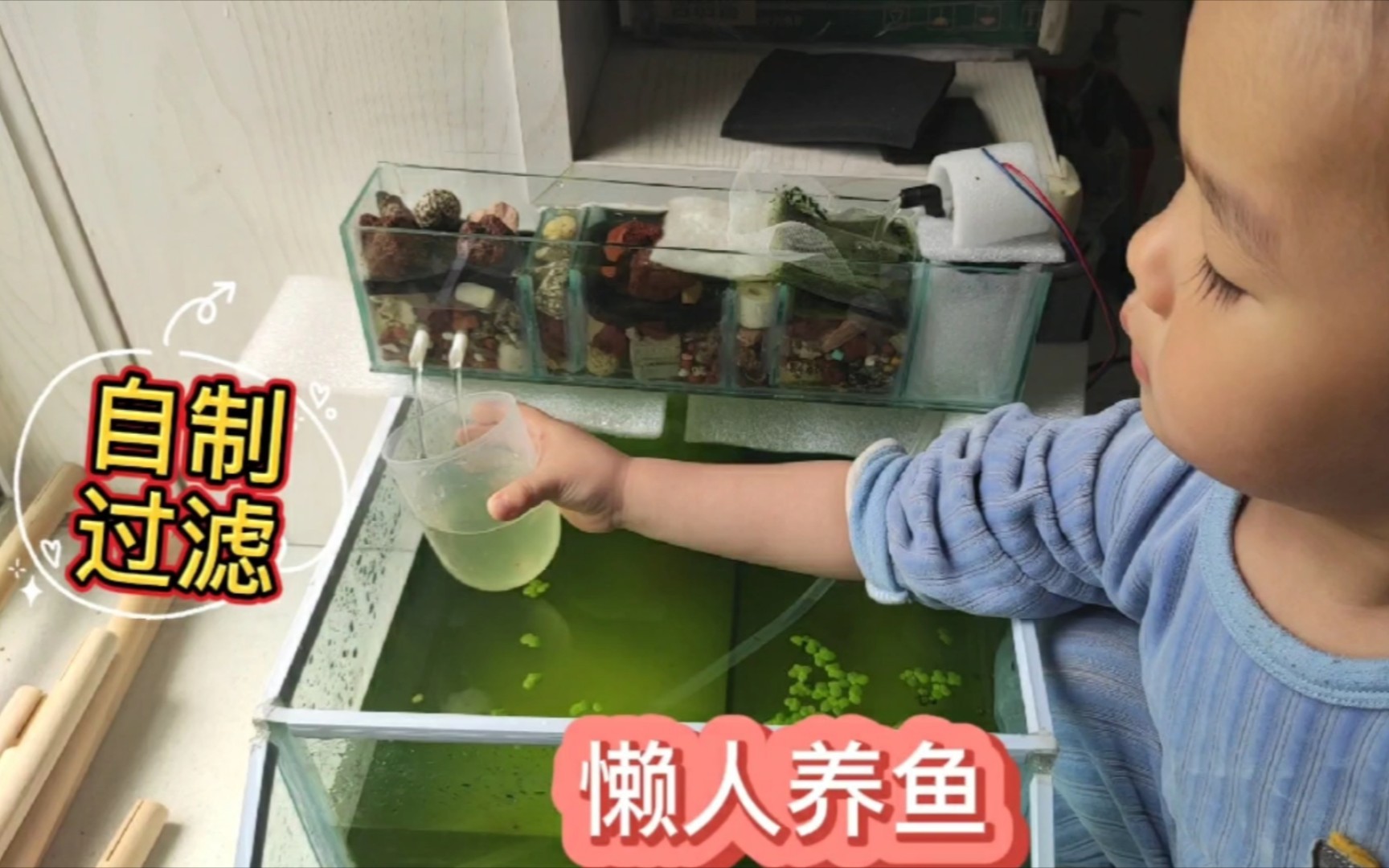 用一块玻璃制作简易鱼缸过滤,穷人养鱼瞎折腾